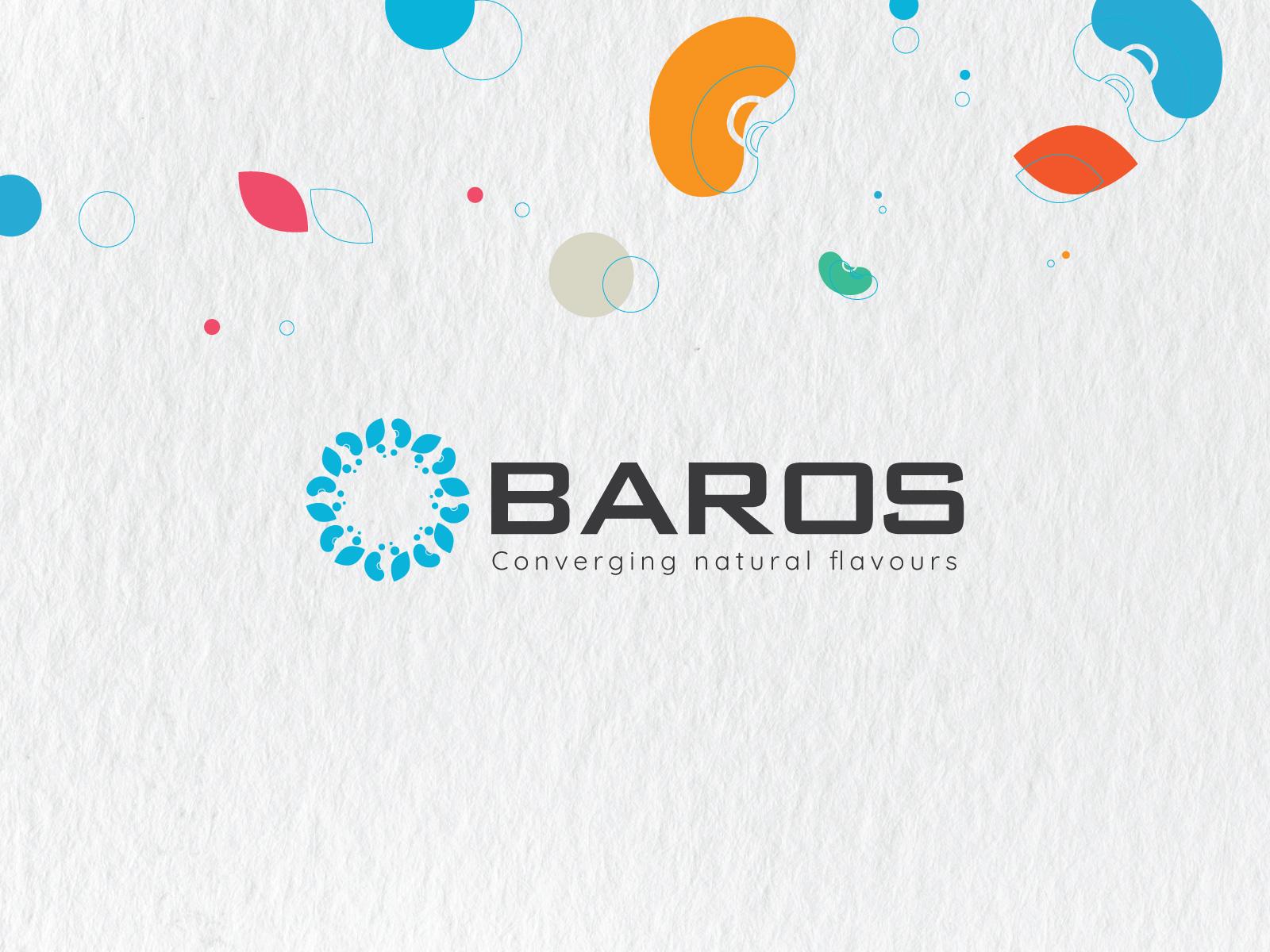 Baros - Vareno | Công ty thiết kế logo, thương hiệu, website chuyên nghiệp