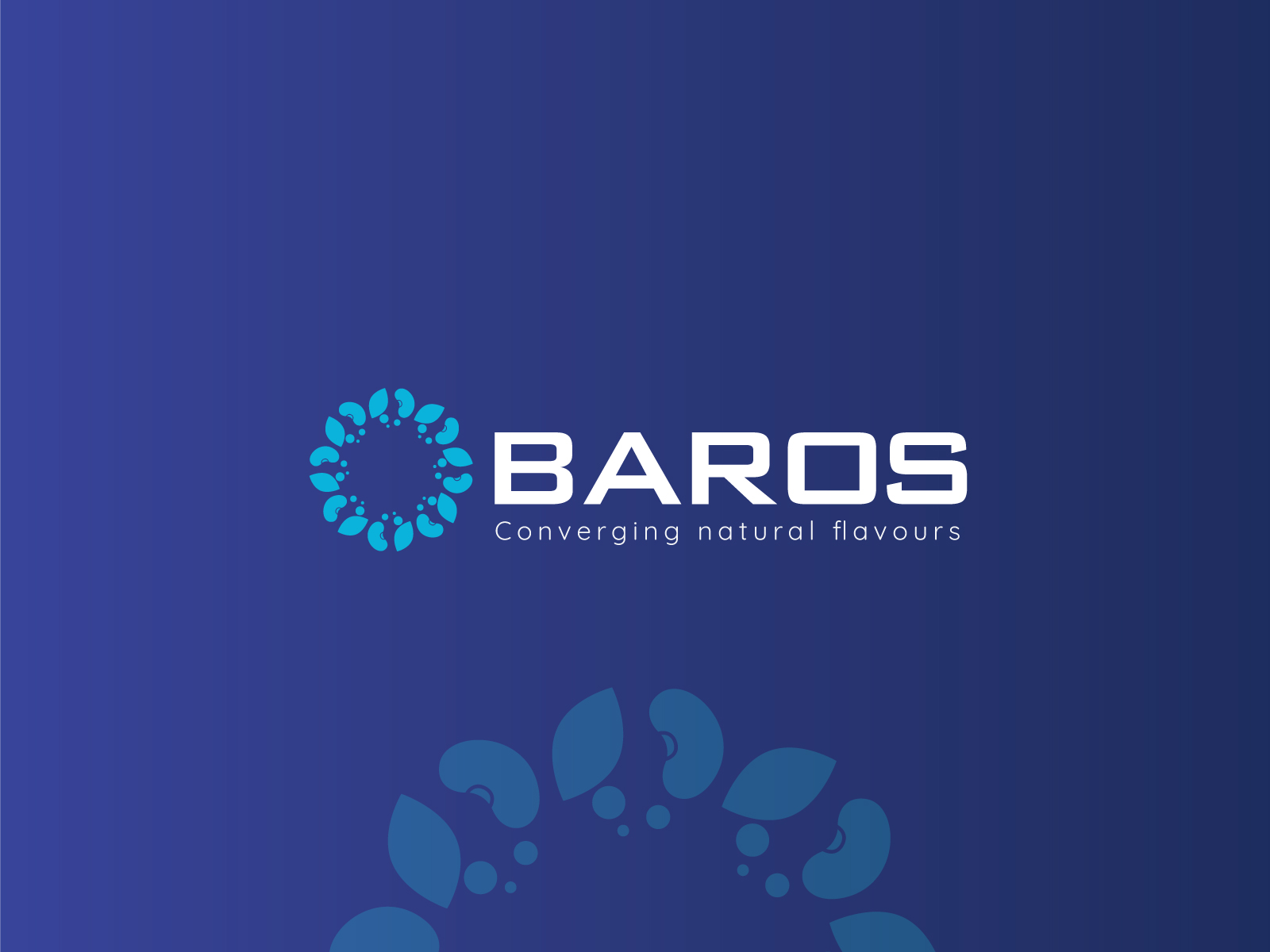 Baros - Vareno | Công ty thiết kế logo, thương hiệu, website chuyên nghiệp